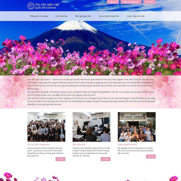 Developer Membership - ThemeTOT.com